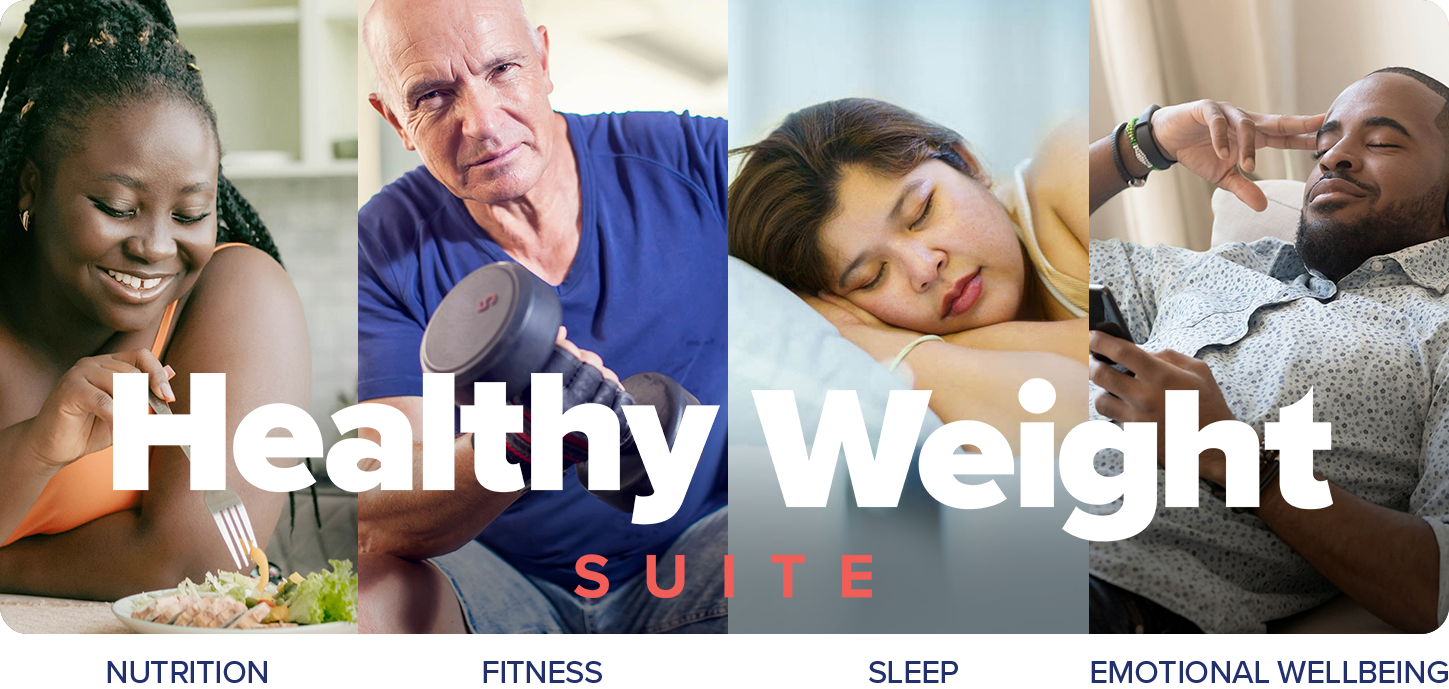 Grokker: Corporate Wellbeing Platform